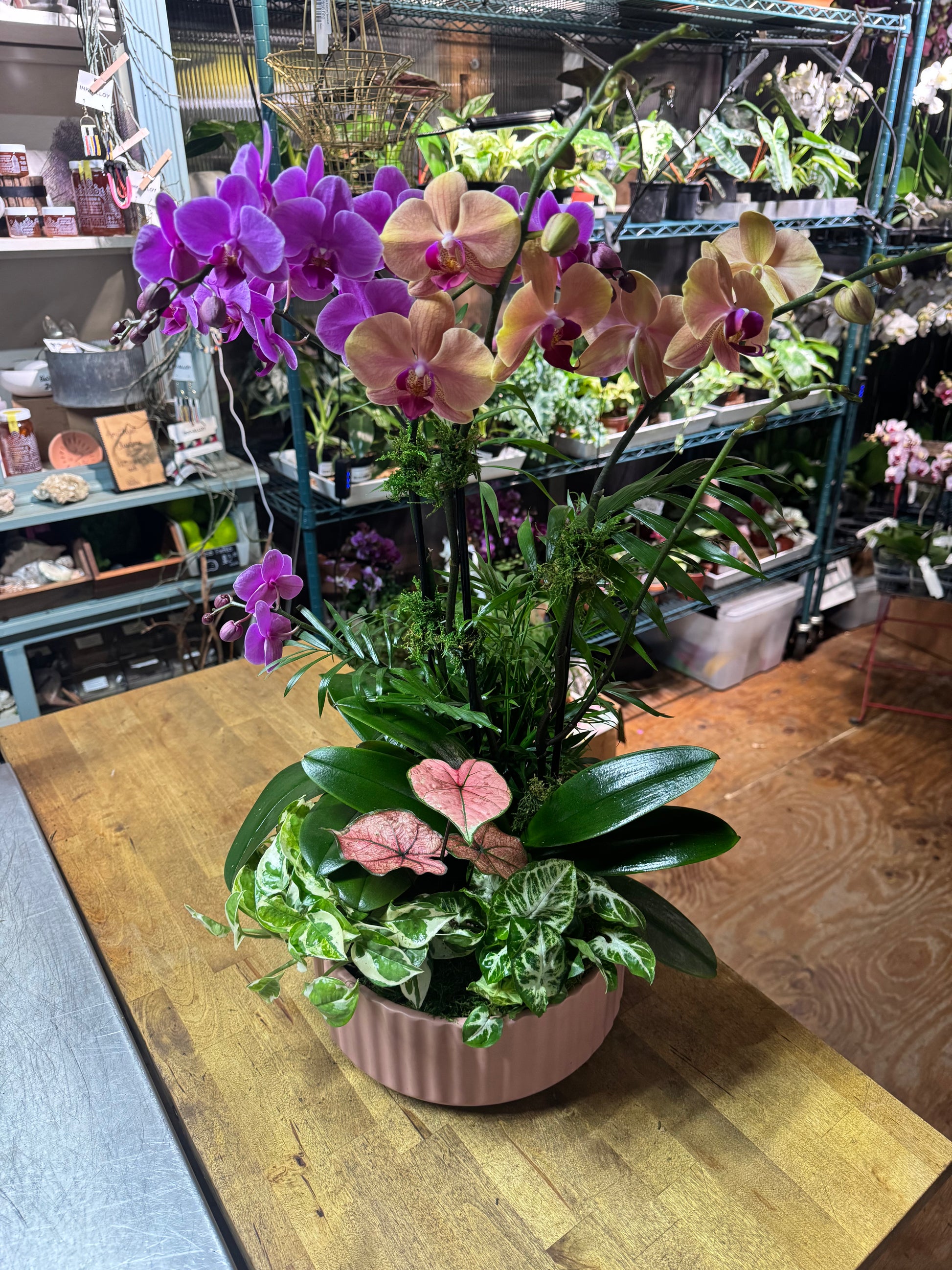The Sunset – Bloom Garden Shop